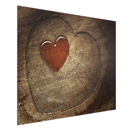 Bilderwelten Alu Dibond Outdoor Bild Liebe einzigartig modern Holzoptik - Natural Love Panorama - Deko Wohnzimmer Schlafzimmer