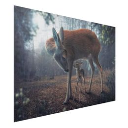 Bilderwelten Alu-Dibond Outdoor Bild Mutter und Kitz