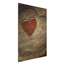 Bilderwelten Alu-Dibond Outdoor Bild Natural Love Panorama