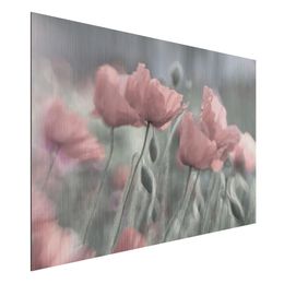 Bilderwelten Alu Dibond Outdoor Bild Blumen rosa Motiv wetterfest - Malerische Mohnblumen - Mohn Wohnzimmer Schlafzimmer
