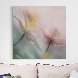 Bilderwelten Leinwandbild Blumen Landhaus Kunstdruck violett - Buschwindr&ouml;schen - Wandbild XXL Wohnzimmer Schlafzimmer