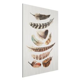 Bilderwelten Alu Dibond Outdoor Bild Spirituell braun Shabby Aquarell - Neun Federn - Feder Wohnzimmer Schlafzimmer
