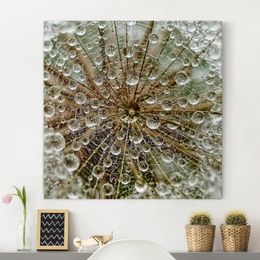 Bilderwelten Leinwandbild Blumen Motiv Kunstdruck beige - Pusteblume im Herbst - Pusteblume XXL Wohnzimmer Schlafzimmer