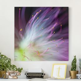 Bilderwelten Leinwandbild Blumen Motiv Kunstdruck violett - Bl&uuml;tenstaub - Wandbild XXL Wohnzimmer Schlafzimmer