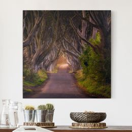 Bilderwelten Leinwandbild - Quadrat Tunnel aus B&auml;umen