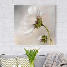 Bilderwelten Leinwandbild Blumen Landhaus Kunstdruck beige - Himmlischer Bl&uuml;tentraum - Wandbild XXL Wohnzimmer Schlafzimmer
