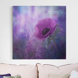 Bilderwelten Leinwandbild Blumen modern Kunstdruck violett - Anemonenbl&uuml;te in Violett - Wandbild XXL Wohnzimmer Schlafzimmer