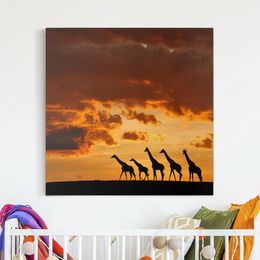 Bilderwelten Leinwandbild Tiere Fotomontage Kunstdruck orange - F&uuml;nf Giraffen - africa XXL Wohnzimmer Schlafzimmer