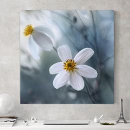 Bilderwelten Leinwandbild Blumen Motiv Kunstdruck blau - Kosmeen in Pastell - Wandbild XXL Wohnzimmer Schlafzimmer