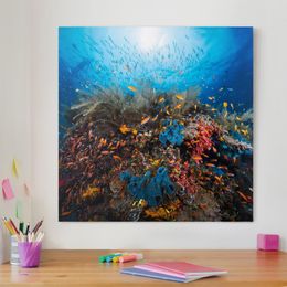 Bilderwelten Leinwandbild Tiere Motiv Kunstdruck blau - Lagune Unterwasser - Wandbild XXL Wohnzimmer Schlafzimmer