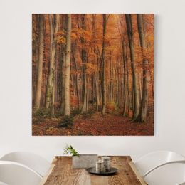 Bilderwelten Leinwandbild - Quadrat Herbstspaziergang