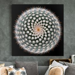 Bilderwelten Leinwandbild Blumen Tropisch Kunstdruck schwarz - Kaktusbl&uuml;te - Wandbild XXL Wohnzimmer Schlafzimmer