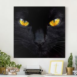 Bilderwelten Leinwandbild Tiere Motiv Kunstdruck schwarz - Hypnotischer Blick - Katze XXL Wohnzimmer Schlafzimmer