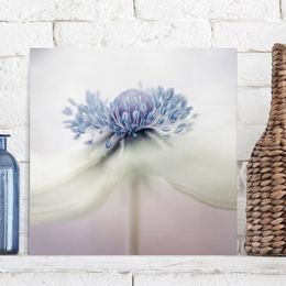Bilderwelten Leinwandbild Blumen Motiv Kunstdruck weiss - Anemone in Violett - Wandbild XXL Wohnzimmer Schlafzimmer