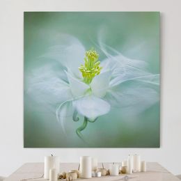 Bilderwelten Leinwandbild Blumen Motiv Kunstdruck gr&uuml;n - Wei&szlig;e Akelei - Wandbild XXL Wohnzimmer Schlafzimmer
