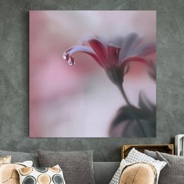 Bilderwelten Leinwandbild Blumen Motiv Kunstdruck rot - Invisible Touch - Wandbild XXL Wohnzimmer Schlafzimmer