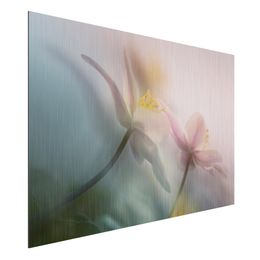 Bilderwelten Alu-Dibond Outdoor Bild Buschwindr&ouml;schen
