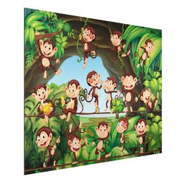 Bilderwelten Alu Dibond Outdoor Bild Tiere einzigartig Illustration wetterfest - Dschungelaffen - Deko Kinderzimmer Baby M&auml;dchen Jungen
