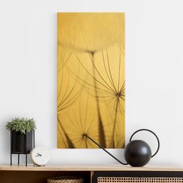Bilderwelten Leinwandbild - Hochformat Sanfte Gr&auml;ser