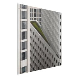 Bilderwelten Alu-Dibond Outdoor Bild Das grüne Element