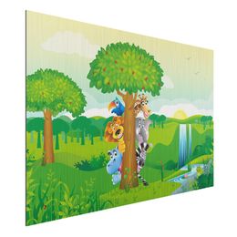 Bilderwelten Alu-Dibond Outdoor Bild Dschungeltiere