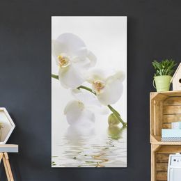 Bilderwelten Leinwandbild - Hochformat White Orchid Waters