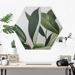 Bilderwelten Alu-Dibond Bild Hexagon Blumen gr&uuml;n Tropisch - Lieblingspflanzen - Gummibaum - Pflanzen Wohnzimmer Schlafzimmer