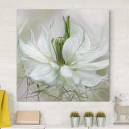 Bilderwelten Leinwandbild Blumen Landhaus Kunstdruck weiss - Wei&szlig;e Nigella - Wandbild XXL Wohnzimmer Schlafzimmer