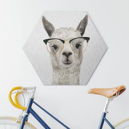 Bilderwelten Alu-Dibond Bild Hexagon Tiere weiss Illustration - Hippes Lama mit Brille I - Deko Wohnzimmer Schlafzimmer