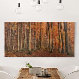 Bilderwelten Leinwandbild - Querformat Herbstspaziergang