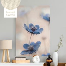 Bilderwelten Leinwandbild - Hochformat Blaue Kosmeen