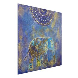 Bilderwelten Alu Dibond Outdoor Bild Tiere blau modern wetterfest - Elephant in Marrakech - Deko Wohnzimmer Schlafzimmer