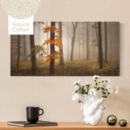 Bilderwelten Leinwandbild - Querformat Novemberwald