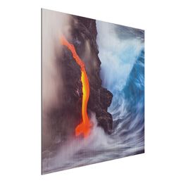 Bilderwelten Alu-Dibond Outdoor Bild Elemente der Natur
