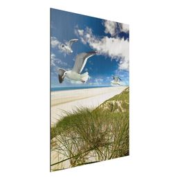 Bilderwelten Alu Dibond Outdoor Bild Strand blau Motiv wetterfest - Dune Breeze - D&uuml;nen Wohnzimmer Schlafzimmer