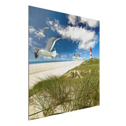 Bilderwelten Alu-Dibond Outdoor Bild Dune Breeze