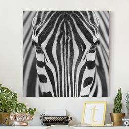Bilderwelten Leinwandbild Tiere Motiv Kunstdruck schwarz weiss - Zebra Look - Wandbild XXL Wohnzimmer Schlafzimmer