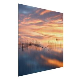 Bilderwelten Alu-Dibond Outdoor Bild Fischernetze