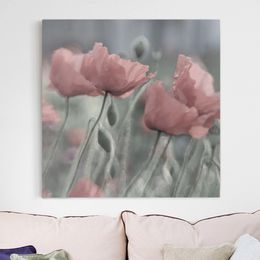 Bilderwelten Leinwandbild Blumen Motiv Kunstdruck rosa - Malerische Mohnblumen - Mohn XXL Wohnzimmer Schlafzimmer