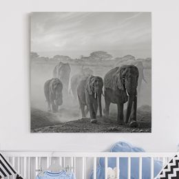 Bilderwelten Leinwandbild Natur modern Kunstdruck schwarz weiss - Elefantenherde - Landschaft XXL Wohnzimmer Schlafzimmer