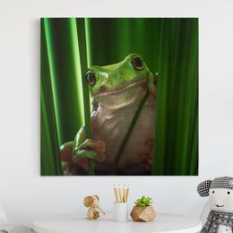 Bilderwelten Leinwandbild Tiere Motiv Kunstdruck Leinwanddruck - Fr&ouml;hlicher Frosch - Frosch XXL Wohnzimmer Schlafzimmer