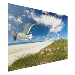 Bilderwelten Alu Dibond Outdoor Bild Strand blau Motiv wetterfest - Dune Breeze - D&uuml;nen Wohnzimmer Schlafzimmer