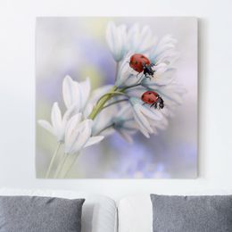 Bilderwelten Leinwandbild Blumen modern Kunstdruck violett - Marienk&auml;fer Paar - Wandbild XXL Wohnzimmer Schlafzimmer