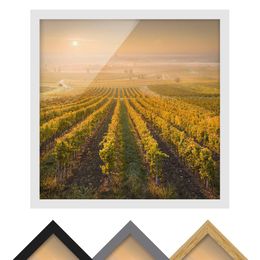 Bilderwelten Bild mit Rahmen - Quadrat Herbstliche Weinberge bei Wien