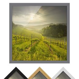 Bilderwelten Bild mit Rahmen - Quadrat Sonnenstrahlen Weinberg