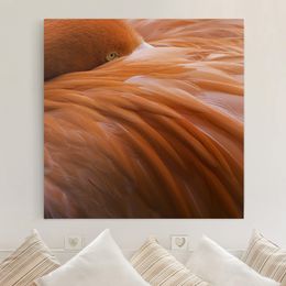 Bilderwelten Leinwandbild Tiere Motiv Kunstdruck rosa - Flamingofedern - V&ouml;gel XXL Wohnzimmer Schlafzimmer