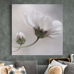 Bilderwelten Leinwandbild Blumen Motiv Kunstdruck beige - Simply Cosmos - Wandbild XXL Wohnzimmer Schlafzimmer