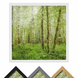 Bilderwelten Bild mit Rahmen Wald gr&uuml;n Motiv inkl. Rahmung - Hoh Rainforest Olympic National Park - B&auml;ume Wohnzimmer Schlafzimmer