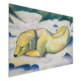 Bilderwelten Alu Dibond Outdoor Bild originell einzigartig modern wetterfest - Franz Marc - Liegender Hund - Deko Wohnzimmer Schlafzimmer