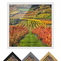 Bilderwelten Bild mit Rahmen - Quadrat Weinberg Blick